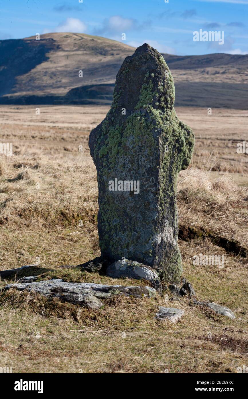 Standing stone, Valentia Island, County Kerry, Ireland Stock Photo - Alamy
