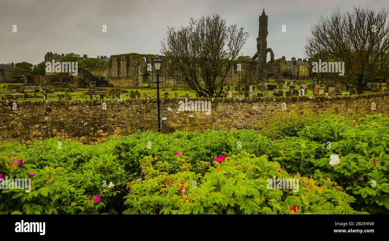 SCOTLAND, UNITED KINGDOM - MAY 30, 2019: Medieval Scottish cemeteries ...