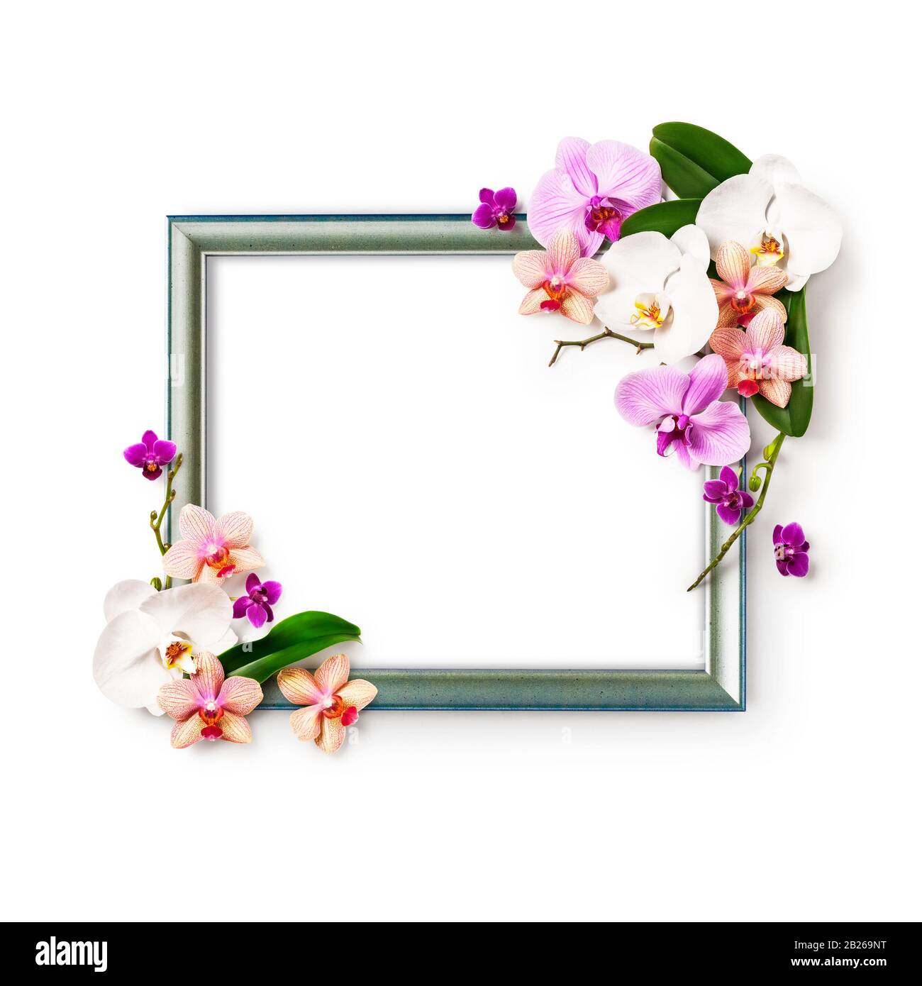 Flower composition. Creative layout made with wooden frame and orchid ...