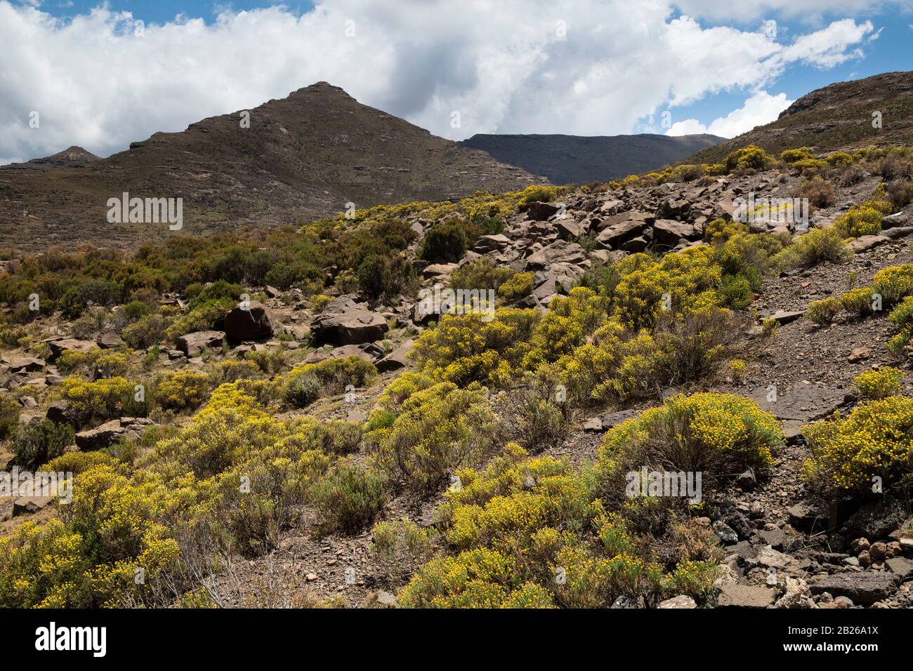 Lekhalo La Thaba Putsoa, Blue Mountain Pass, Lesotho Stock Photo - Alamy
