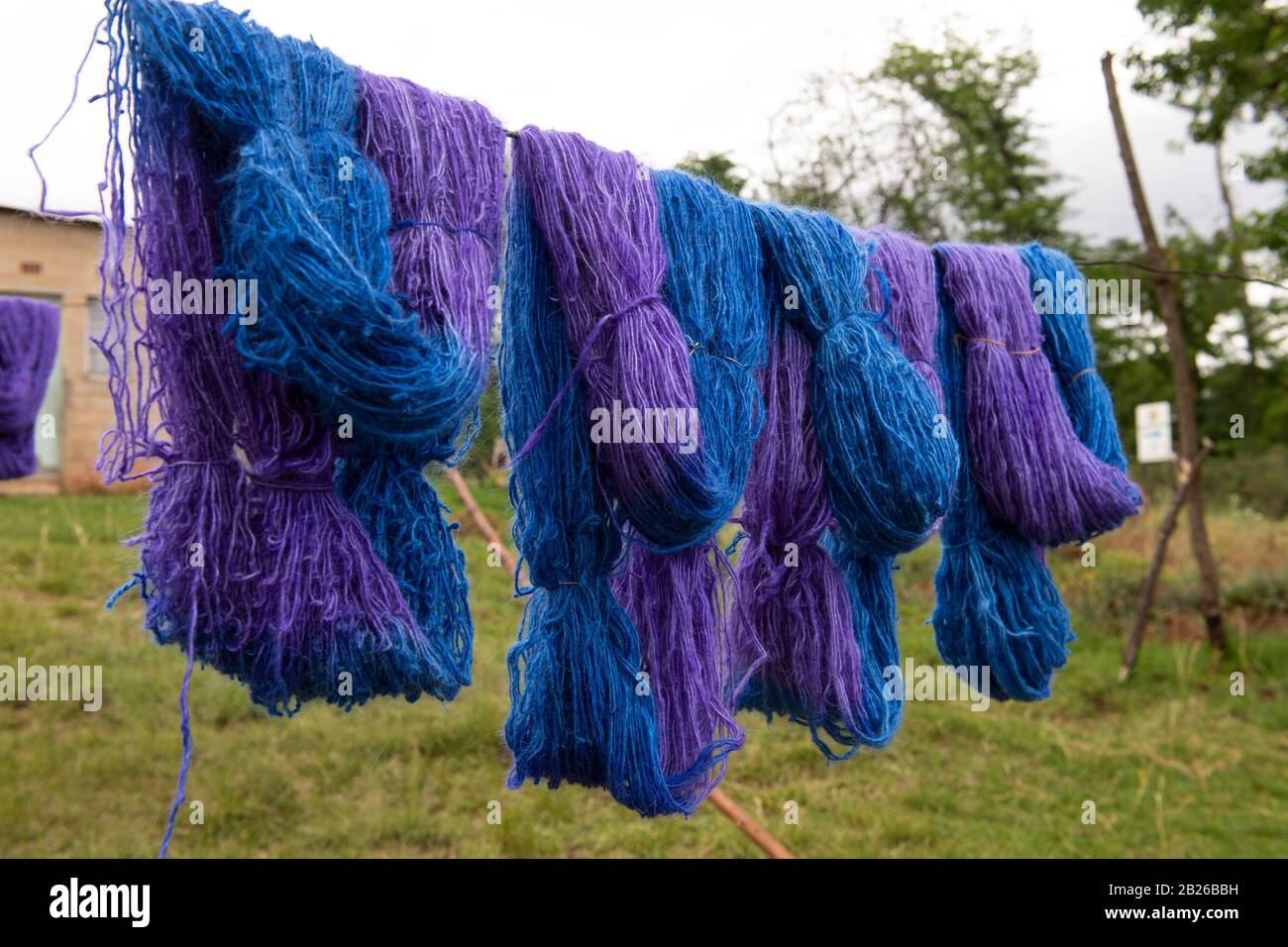 Wool drying hi-res stock photography and images - Alamy