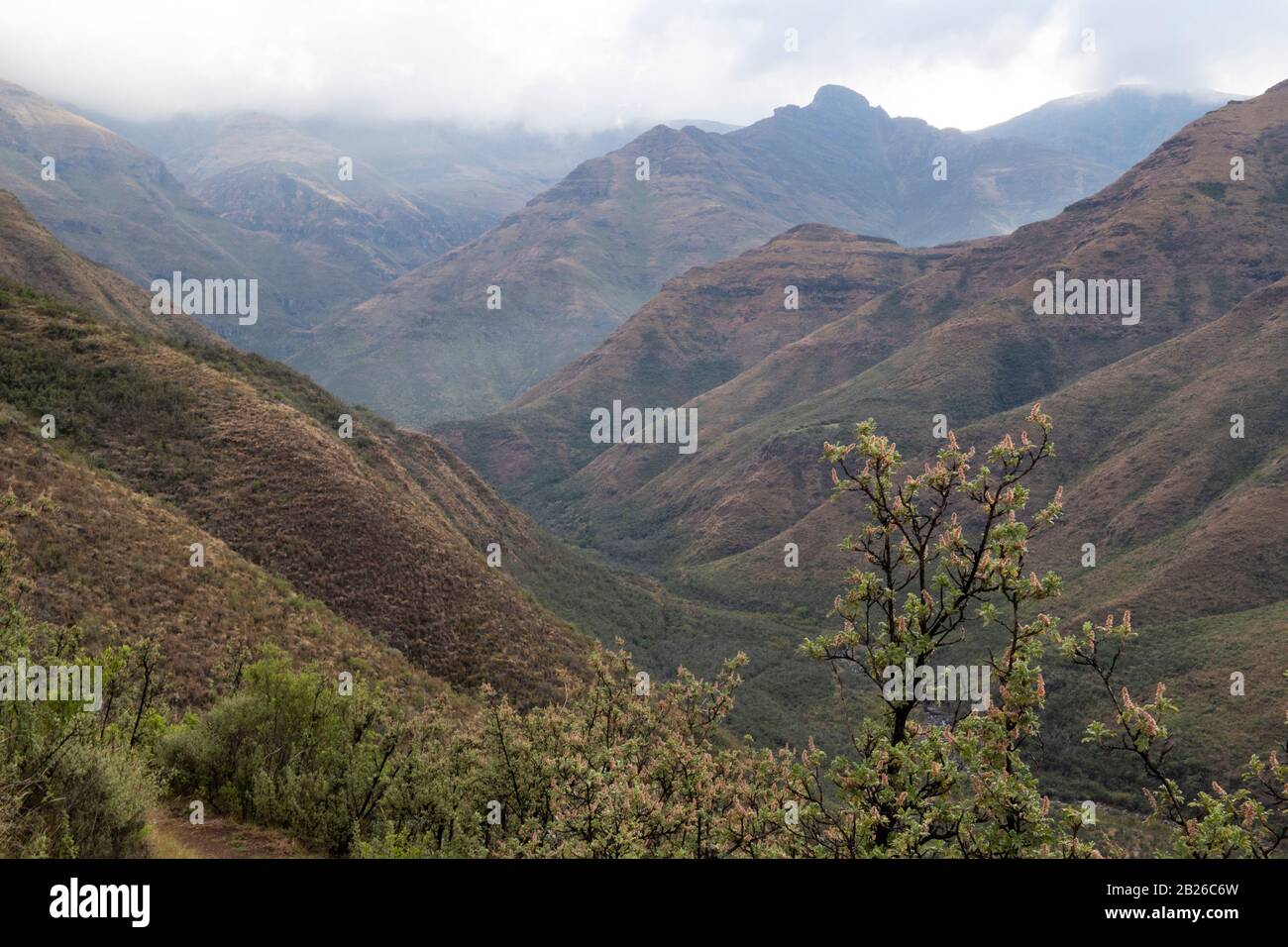 Tsehlanyane national park hi-res stock photography and images - Alamy