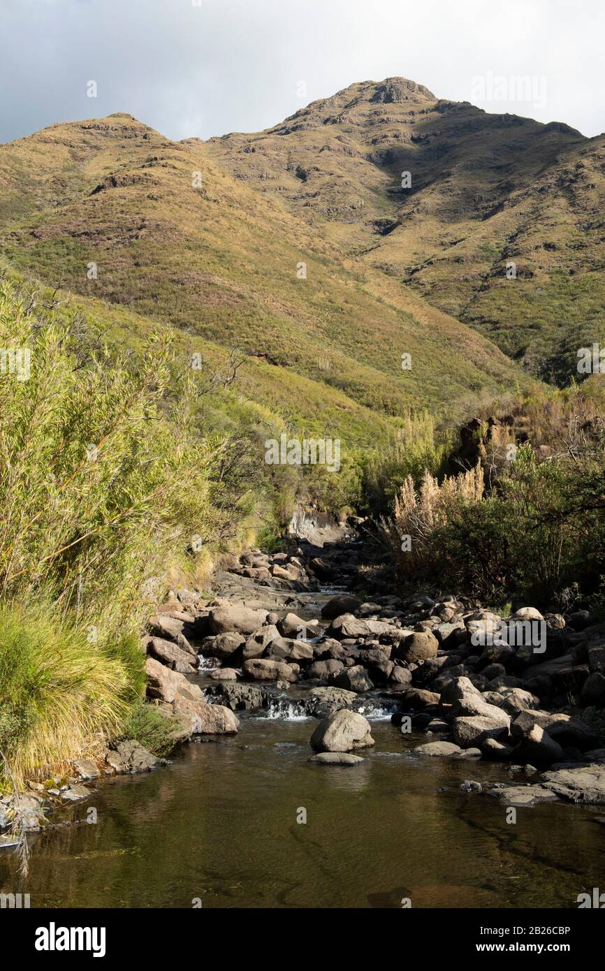 Ts'ehlanyane River, Ts'ehlanyane National Park, Lesotho Stock Photo - Alamy