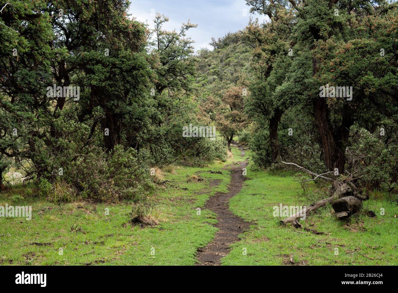 Tsehlanyane national park hi-res stock photography and images - Alamy