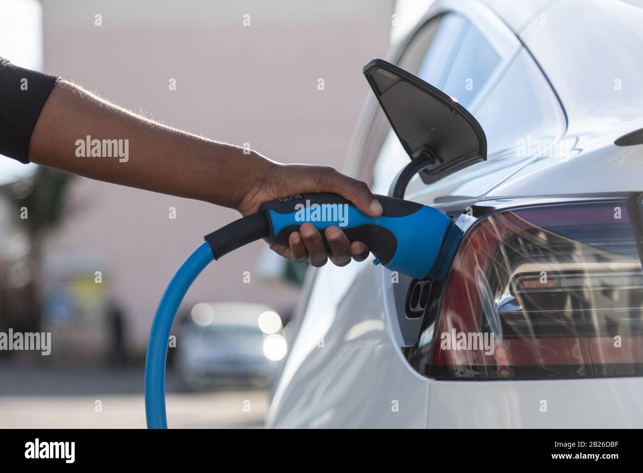 African American person plugin her EV electric car at the charging ...