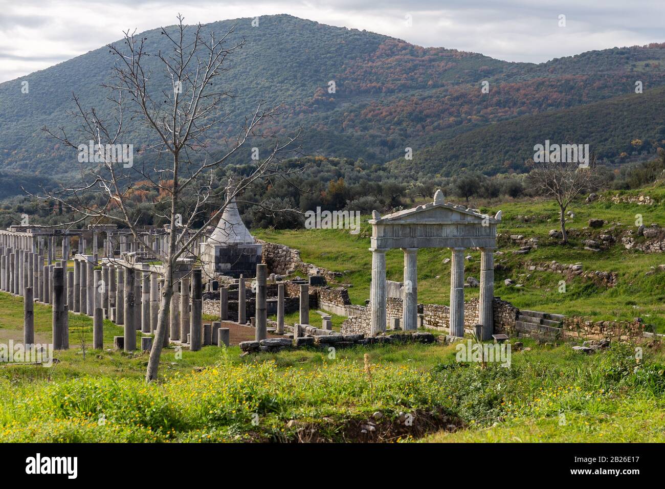 ruins in Ancient city of Messina, Peloponnese, Jan 2020 Stock Photo - Alamy