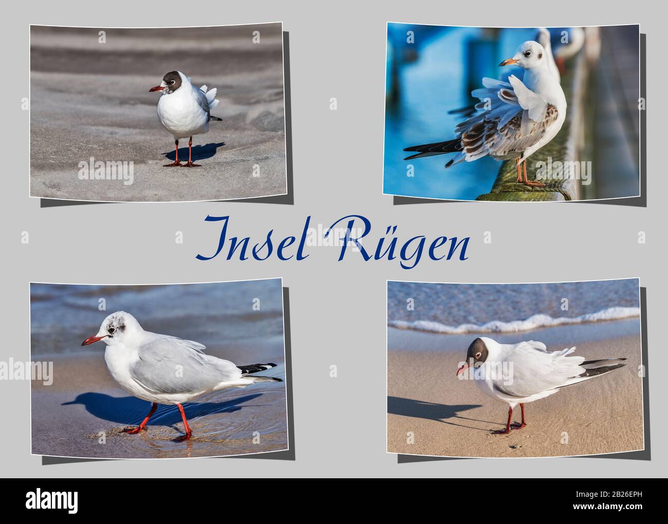 Vier gebogene hi-res stock photography and images - Alamy