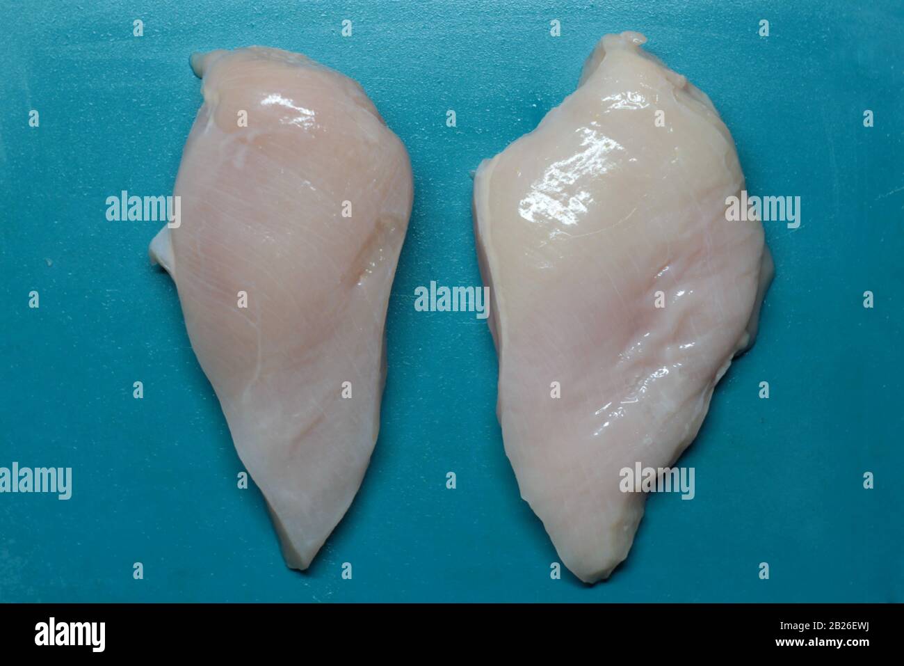 Raw chicken fillet on a blue background Stock Photo - Alamy