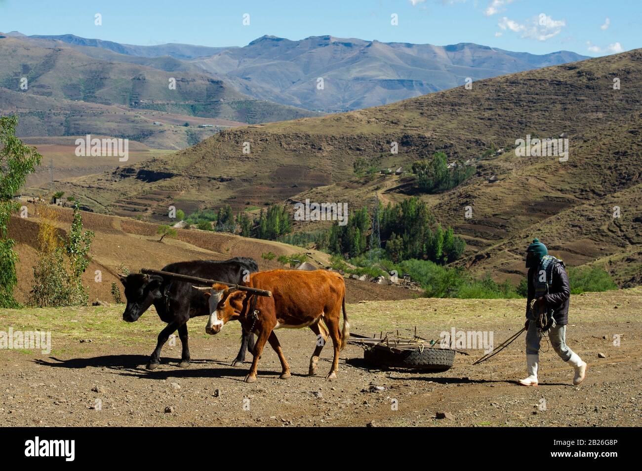 African village scene hi-res stock photography and images - Alamy