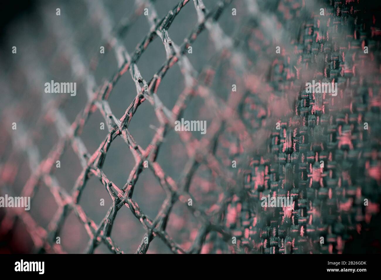 Macro photography playing on the focus and colors in order to create an ...