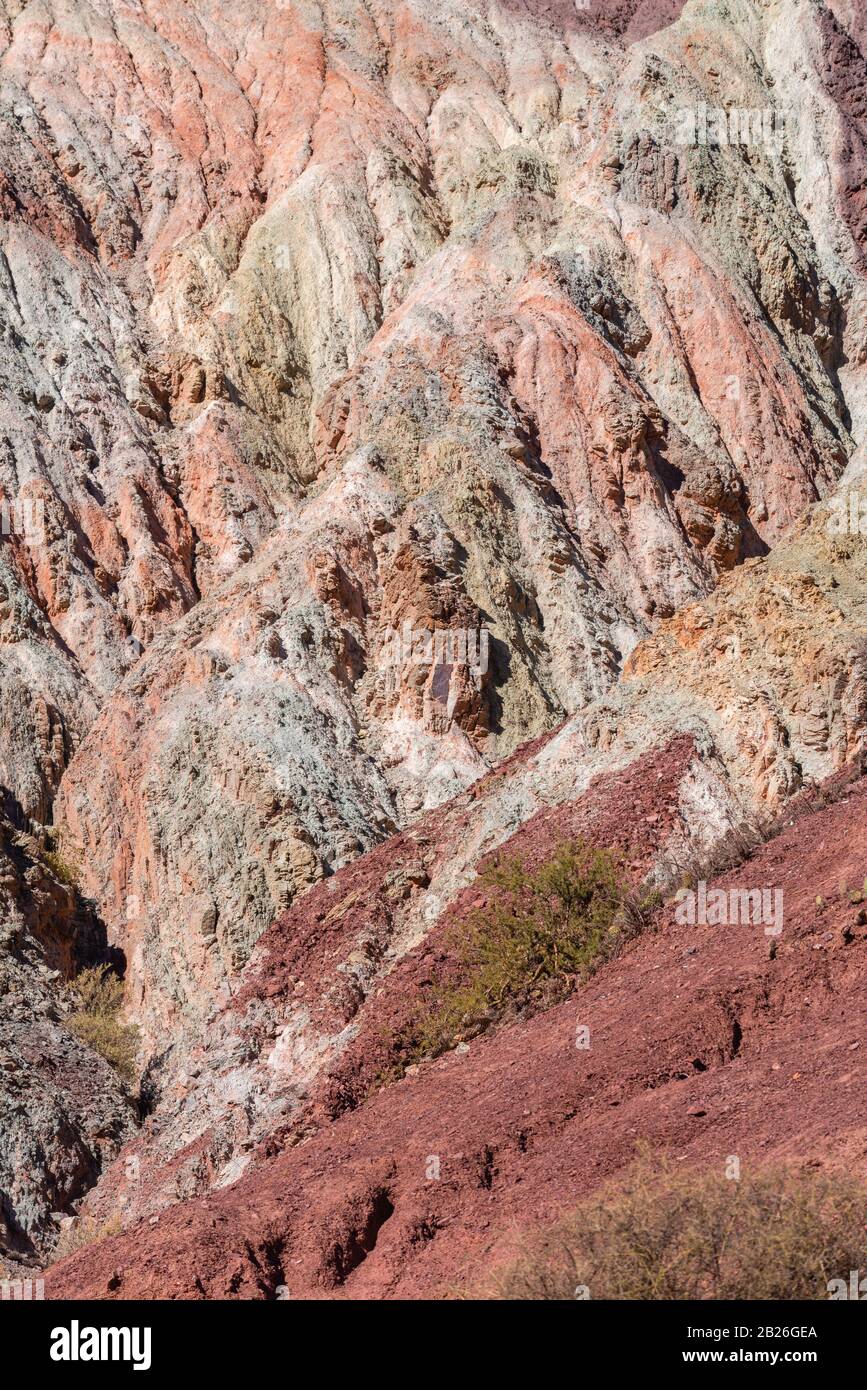 Colores de colores colores de colores colores de colores colores de ...