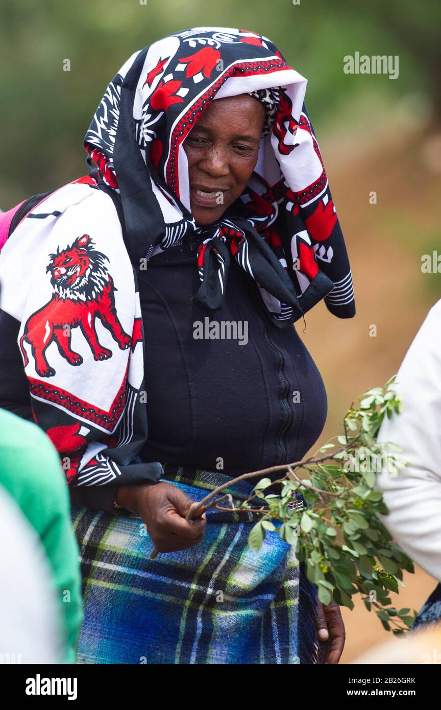 Pitseng hi-res stock photography and images - Alamy