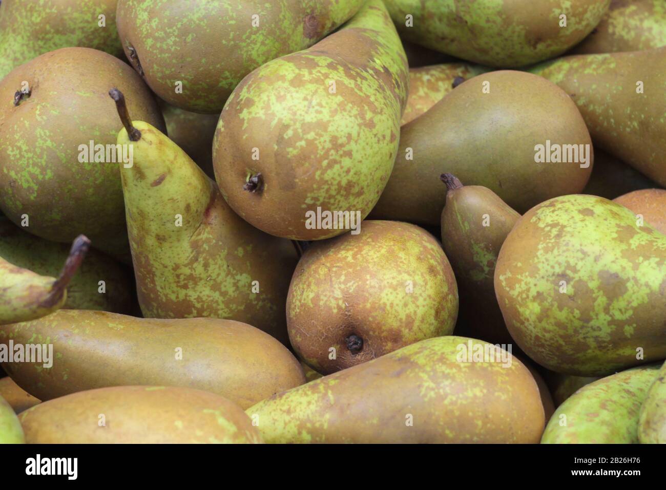 A close-up photography of a heap of pears. Stock photo with empty space ...