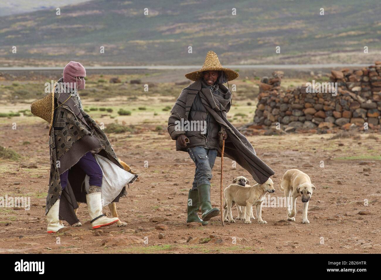 African shepherds people hi-res stock photography and images - Alamy