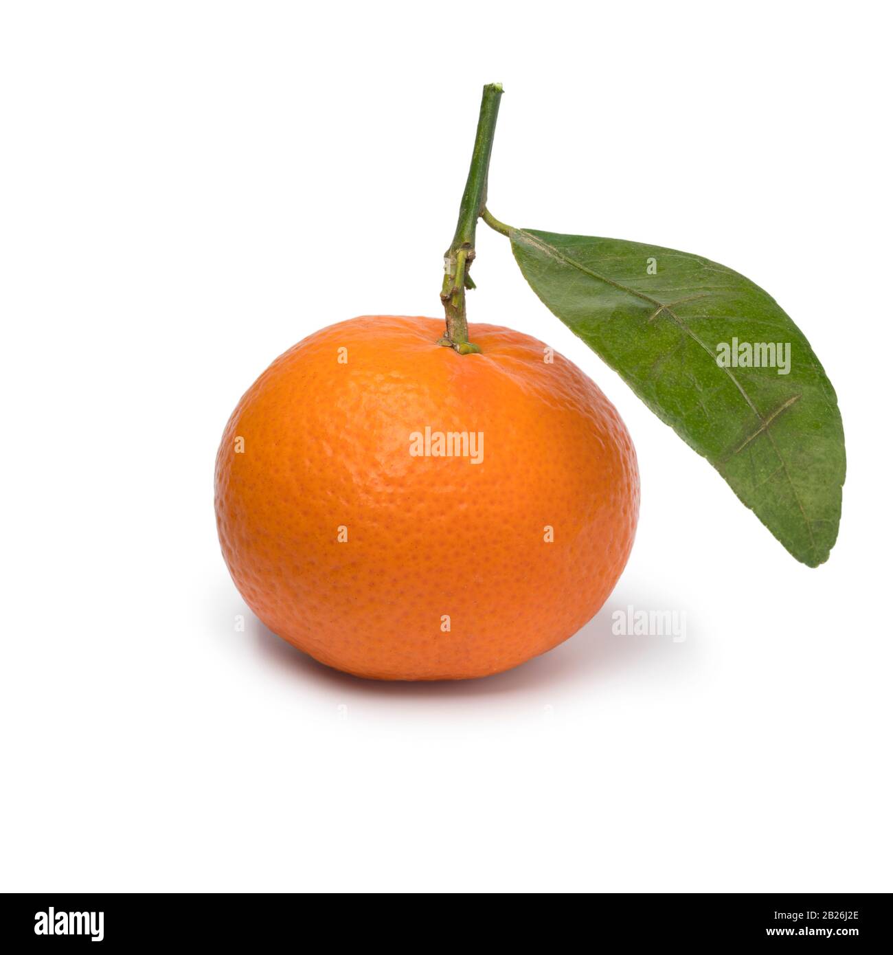 Single mandarin fruit with leaf isolated on white background Stock ...