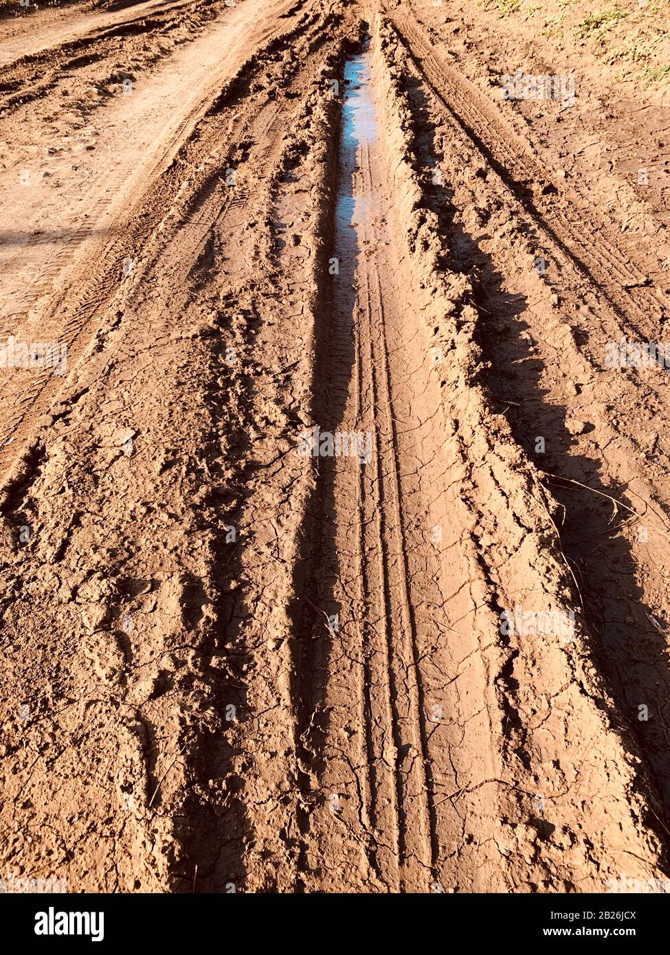 Dirt road with tire track Stock Photo - Alamy