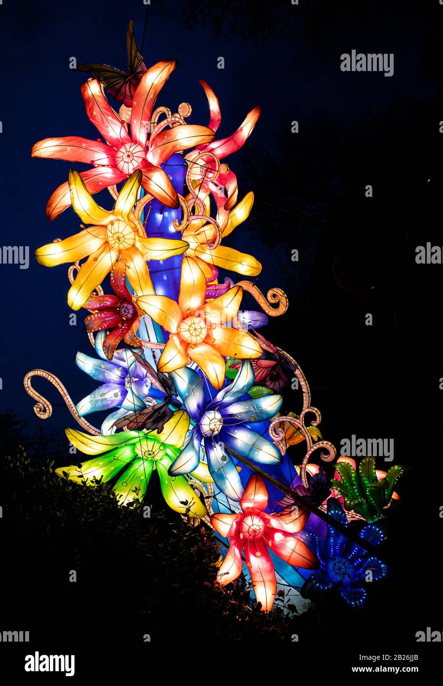 Illuminated floral display at 'Lightopia' light festival at Chiswick ...