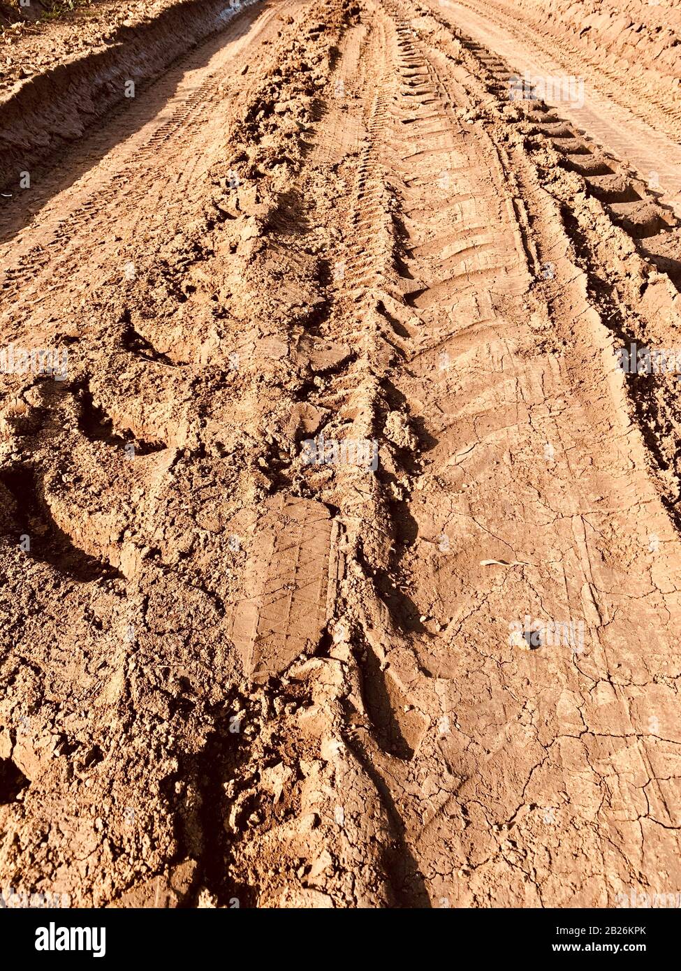 Dirt road with tire track Stock Photo - Alamy