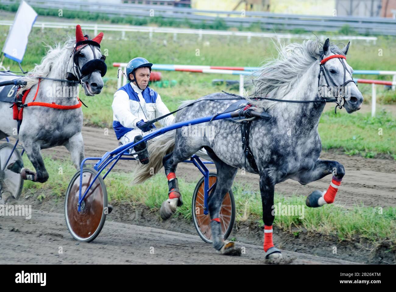 Training track trotting hi-res stock photography and images - Alamy