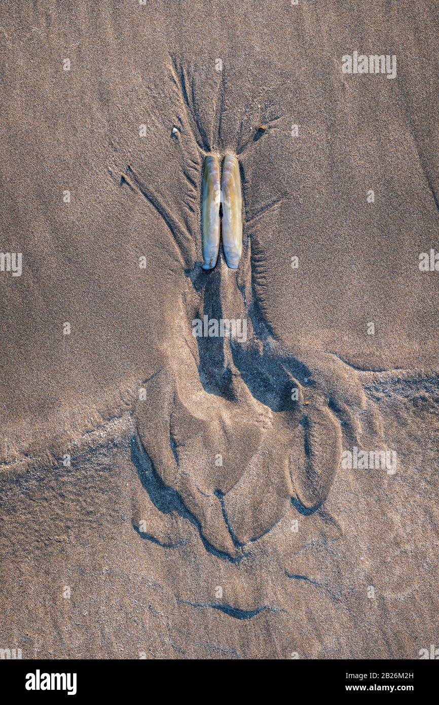 Wetland patterns hi-res stock photography and images - Alamy