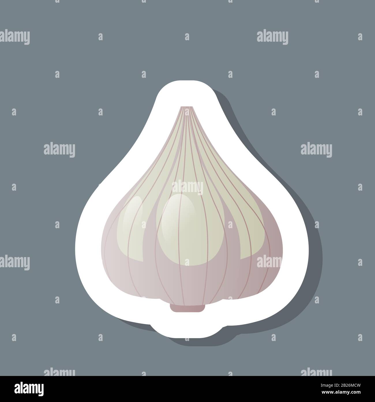 fresh garlic sticker tasty vegetable healthy food concept vector ...