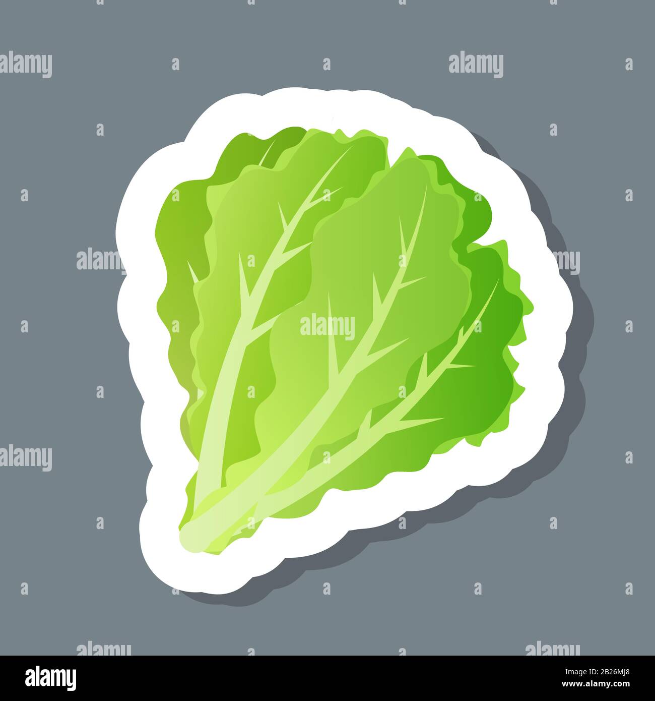 fresh green salad leaves lettuce sticker tasty vegetable icon healthy ...