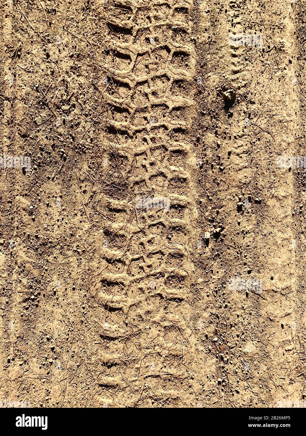 Dirt road with tire track Stock Photo - Alamy