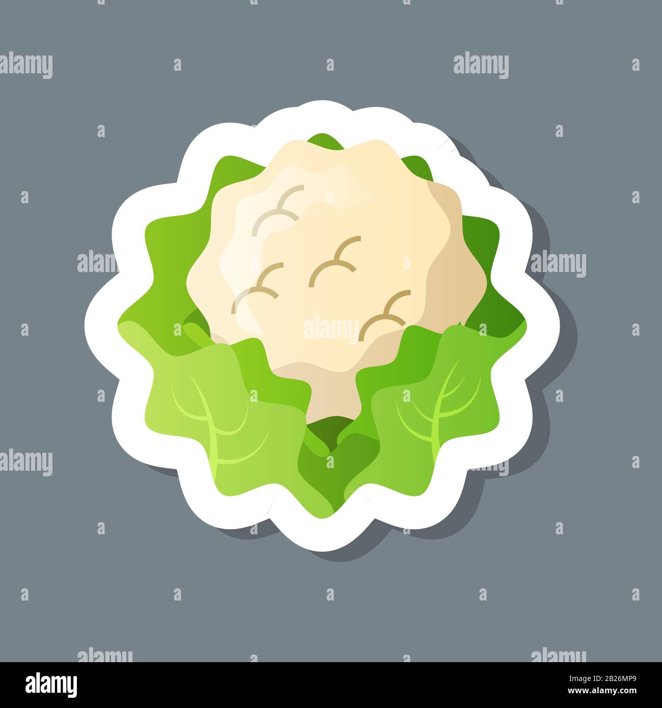 fresh cauliflower sticker tasty vegetable icon healthy food concept ...