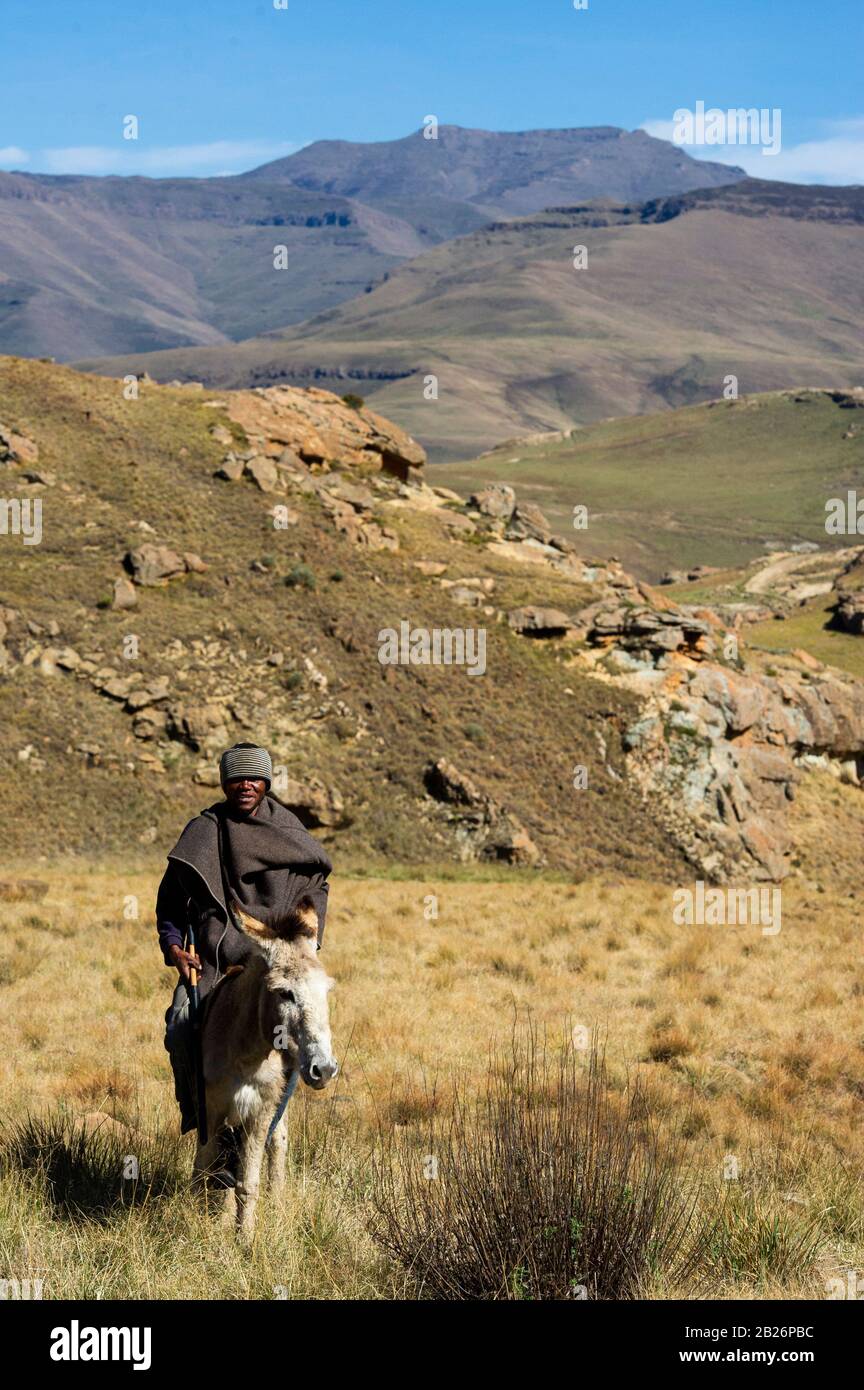 Basotho man on his donkey Sehlabathebe National Park, Lesotho Stock ...