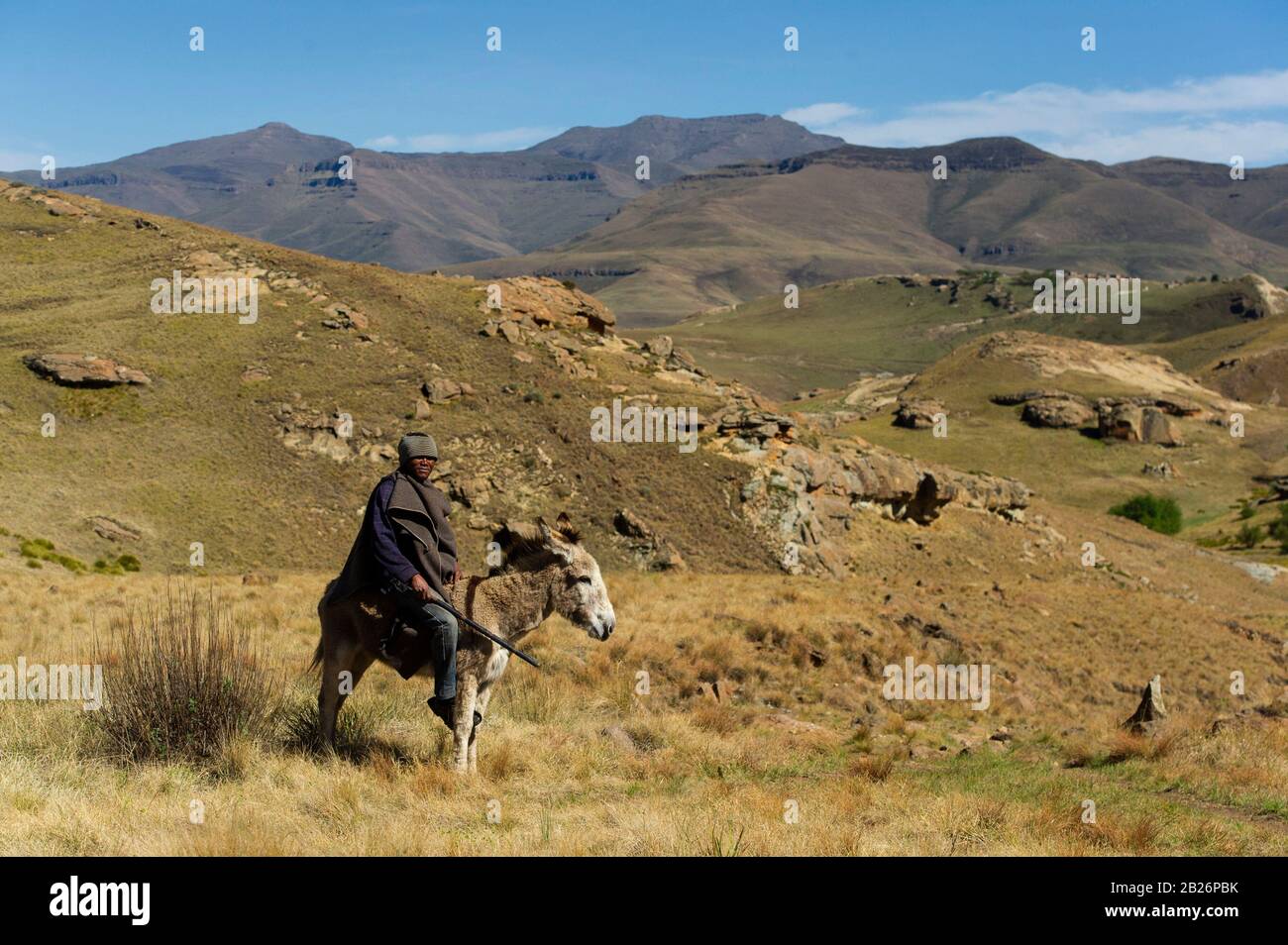 Basotho man on his donkey Sehlabathebe National Park, Lesotho Stock ...