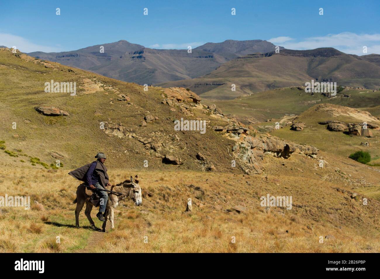 Basotho man on his donkey Sehlabathebe National Park, Lesotho Stock ...