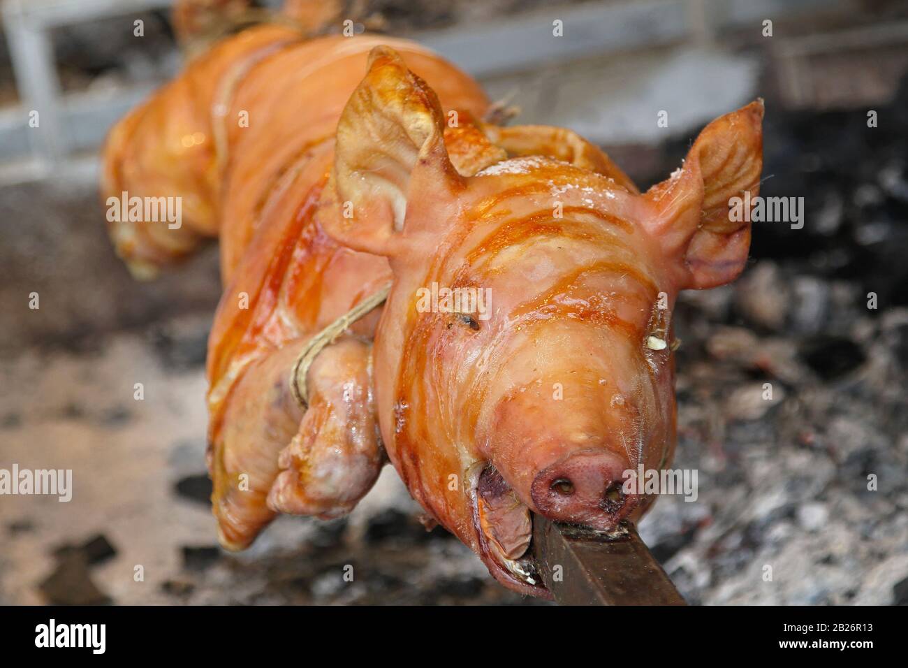 Small pig roasting on the spit fire Stock Photo - Alamy
