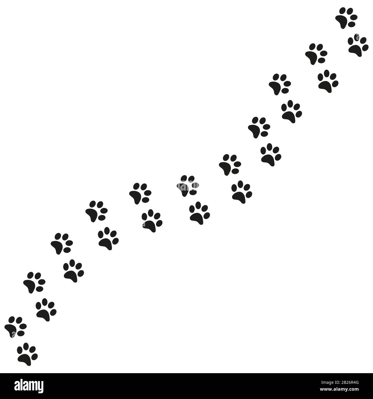 Track of cat dog tracks, footprint, design Stock Vector Image & Art - Alamy