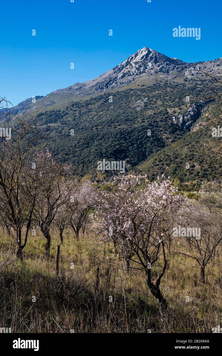 Jimera de libar mountains hi-res stock photography and images - Alamy