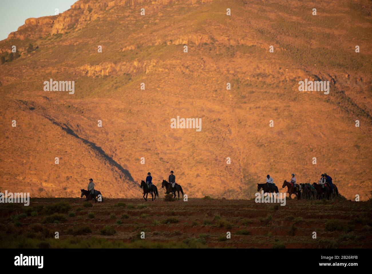 Lesotho basotho pony hi-res stock photography and images - Alamy