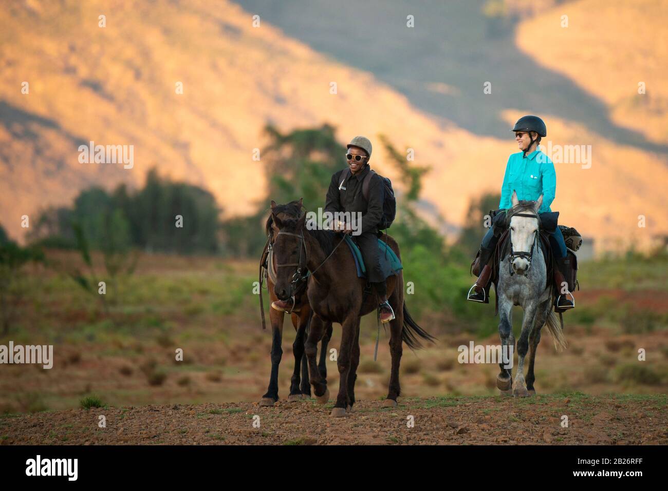 Lesotho basotho pony hi-res stock photography and images - Alamy