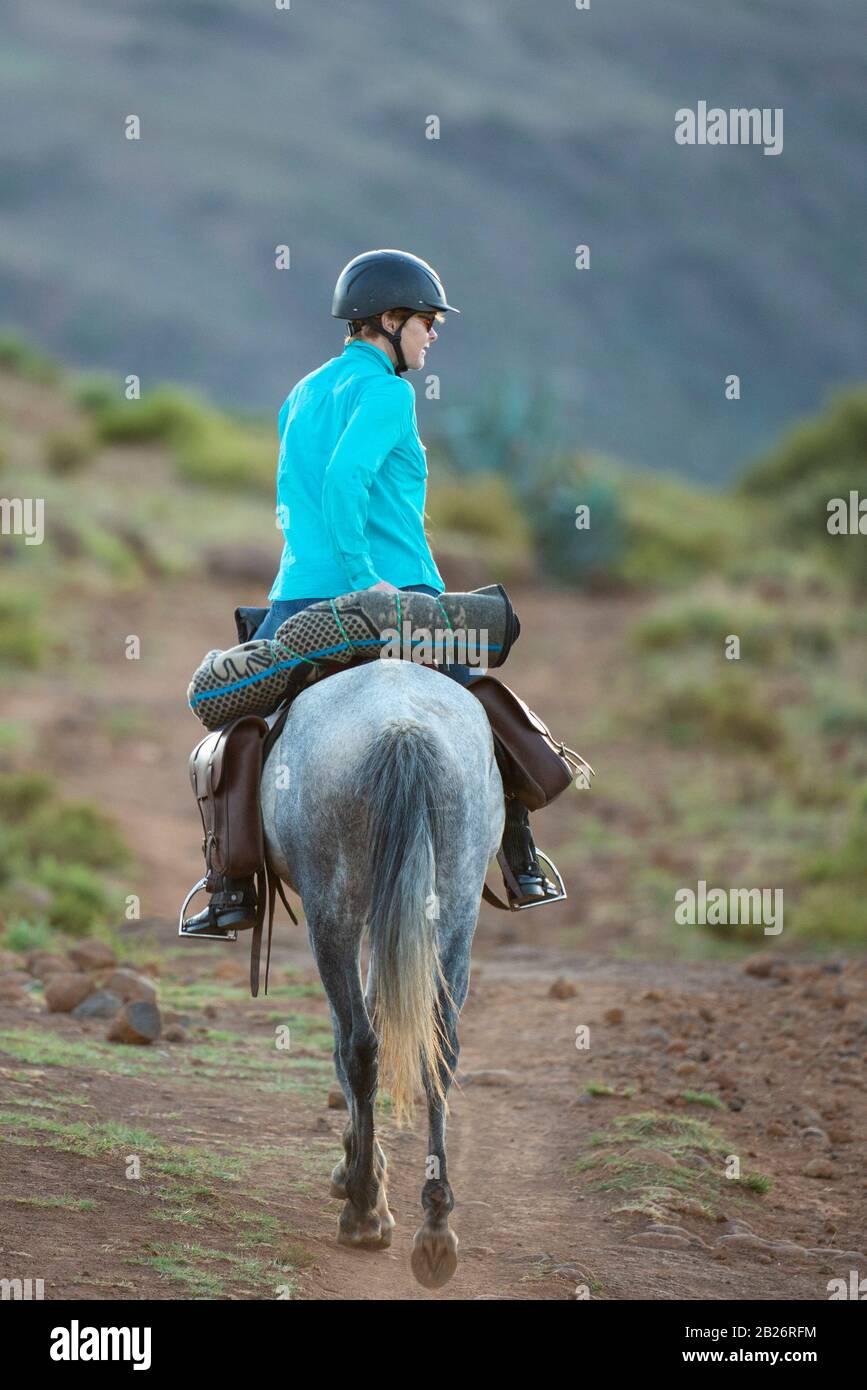Lesotho basotho pony hi-res stock photography and images - Alamy