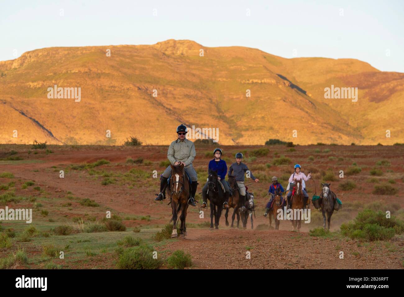 Lesotho basotho pony High Resolution Stock Photography and Images - Alamy