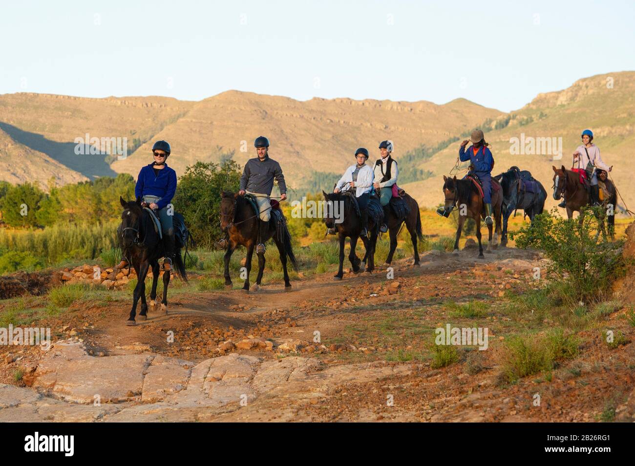 Lesotho basotho pony hi-res stock photography and images - Alamy