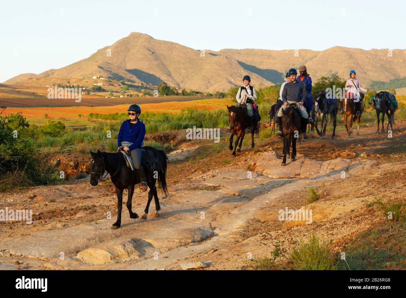 Lesotho basotho pony hi-res stock photography and images - Alamy