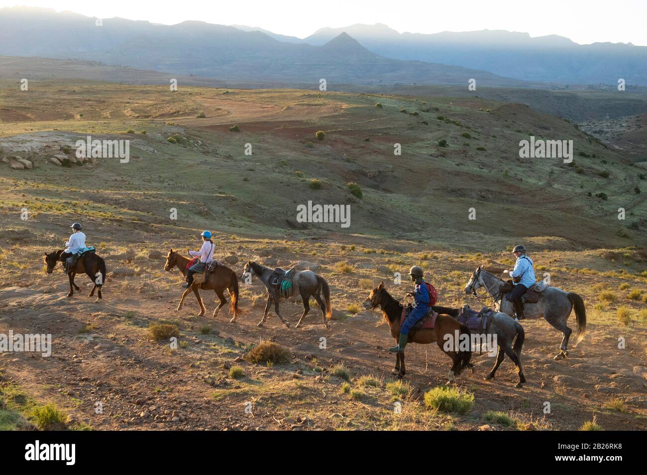 Lesotho basotho pony High Resolution Stock Photography and Images - Alamy