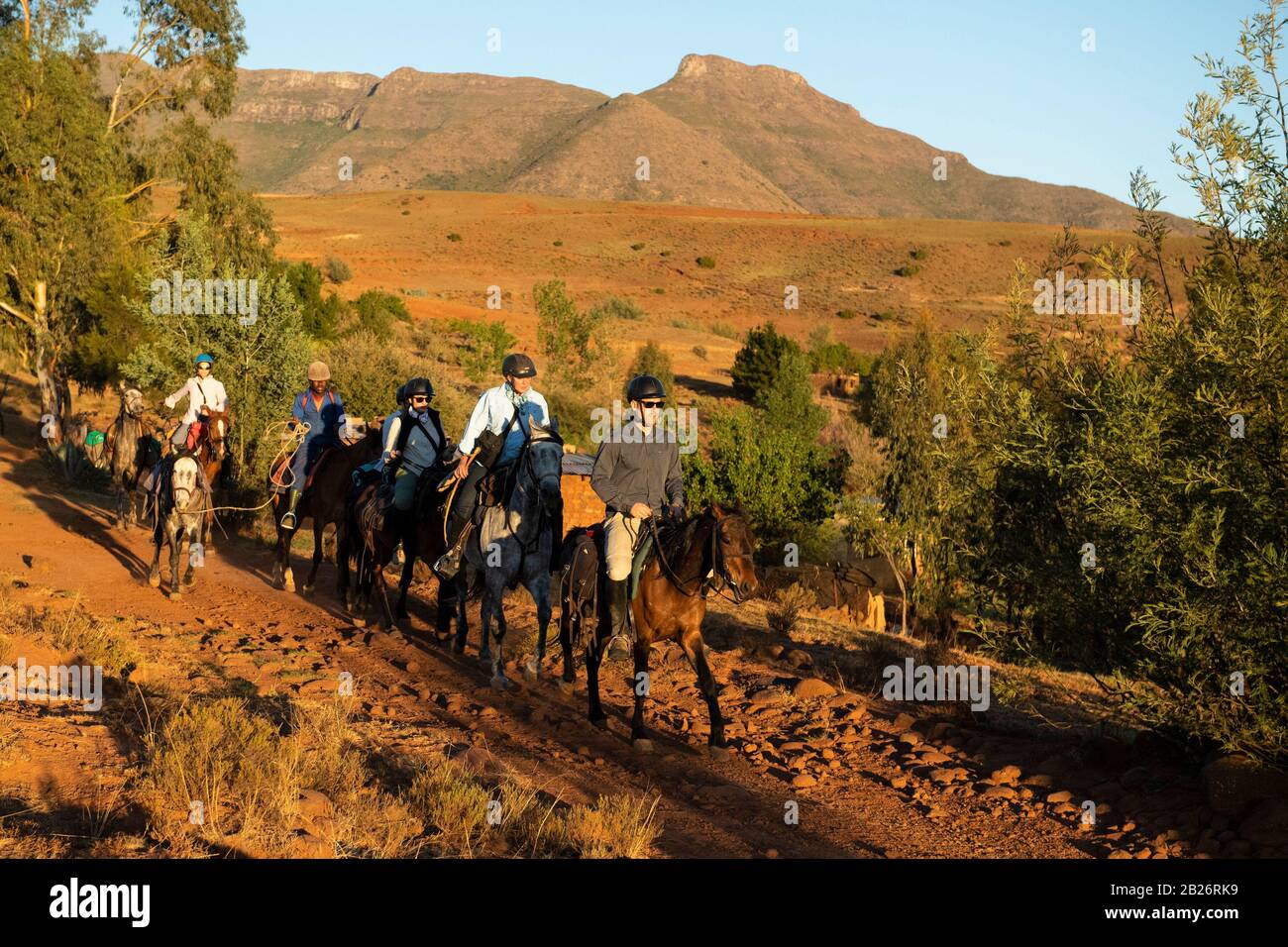 Lesotho basotho pony hi-res stock photography and images - Alamy