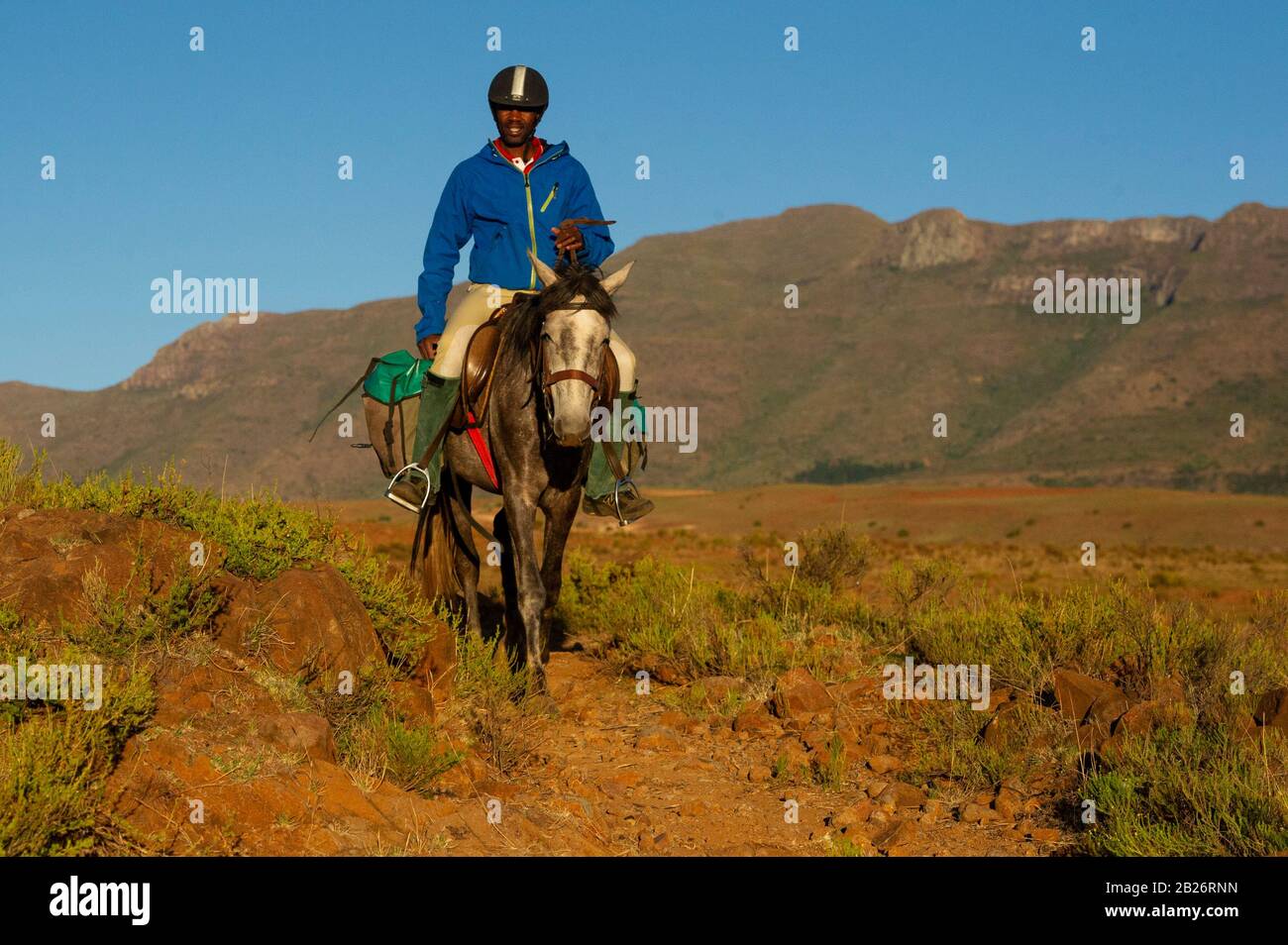 Lesotho basotho pony High Resolution Stock Photography and Images - Alamy
