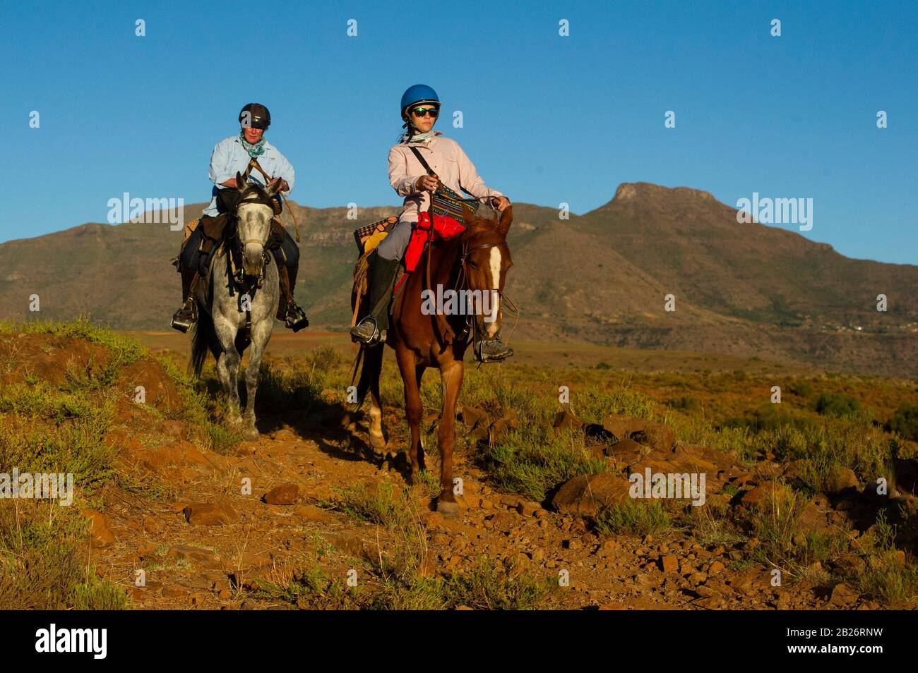 Max 63% OFF 1968-69 Lesotho SC# 53 - Basotho Pony Block of 4 M-NH ...