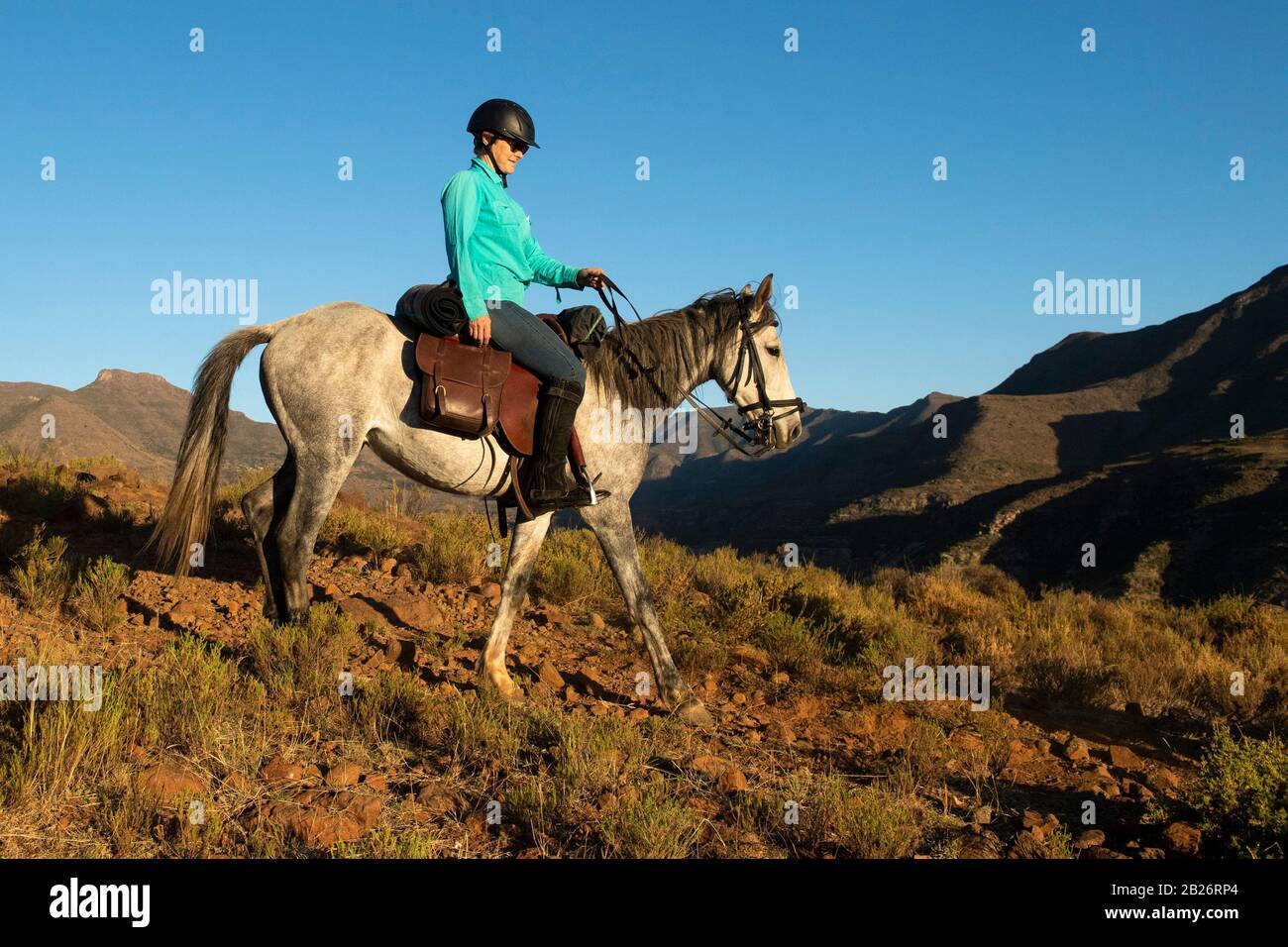 Lesotho basotho pony hi-res stock photography and images - Alamy