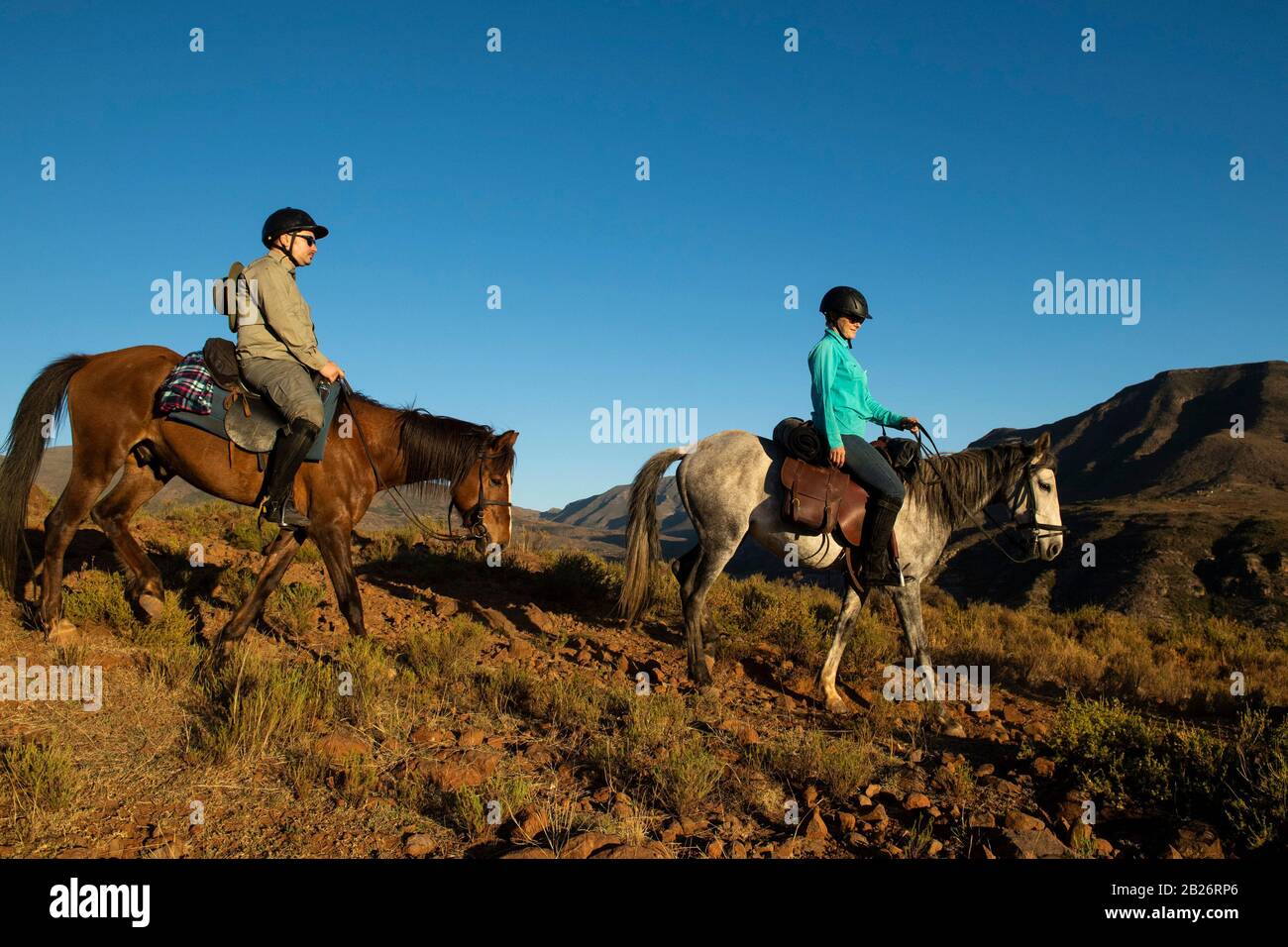 Lesotho basotho pony High Resolution Stock Photography and Images - Alamy