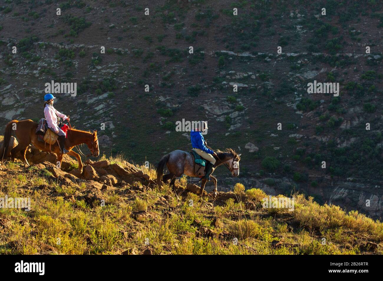 Lesotho basotho pony hi-res stock photography and images - Alamy