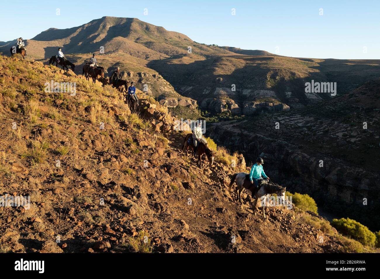 Lesotho basotho pony High Resolution Stock Photography and Images - Alamy