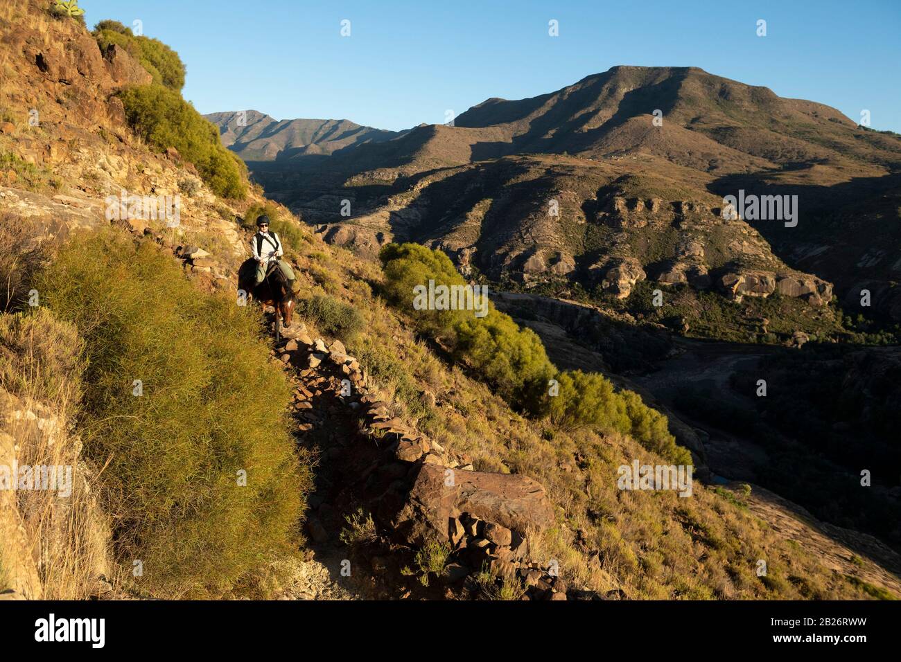 Lesotho basotho pony High Resolution Stock Photography and Images - Alamy