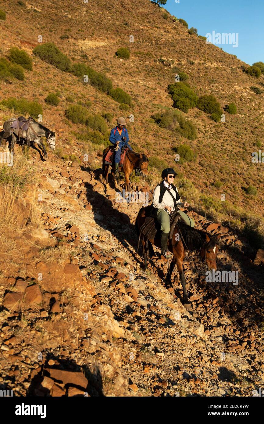 Lesotho basotho pony High Resolution Stock Photography and Images - Alamy